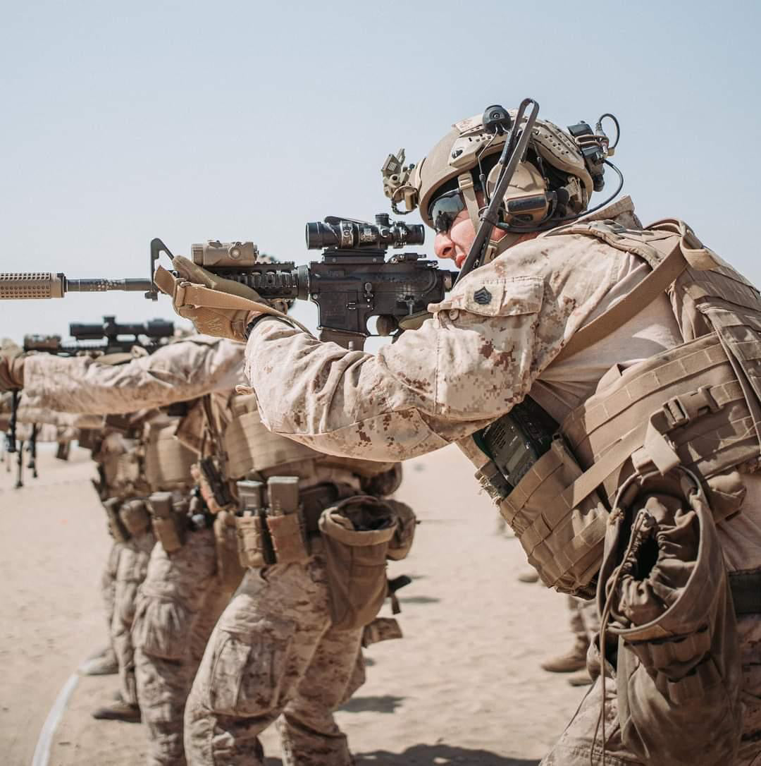 Build Your Own – All Clear Gear